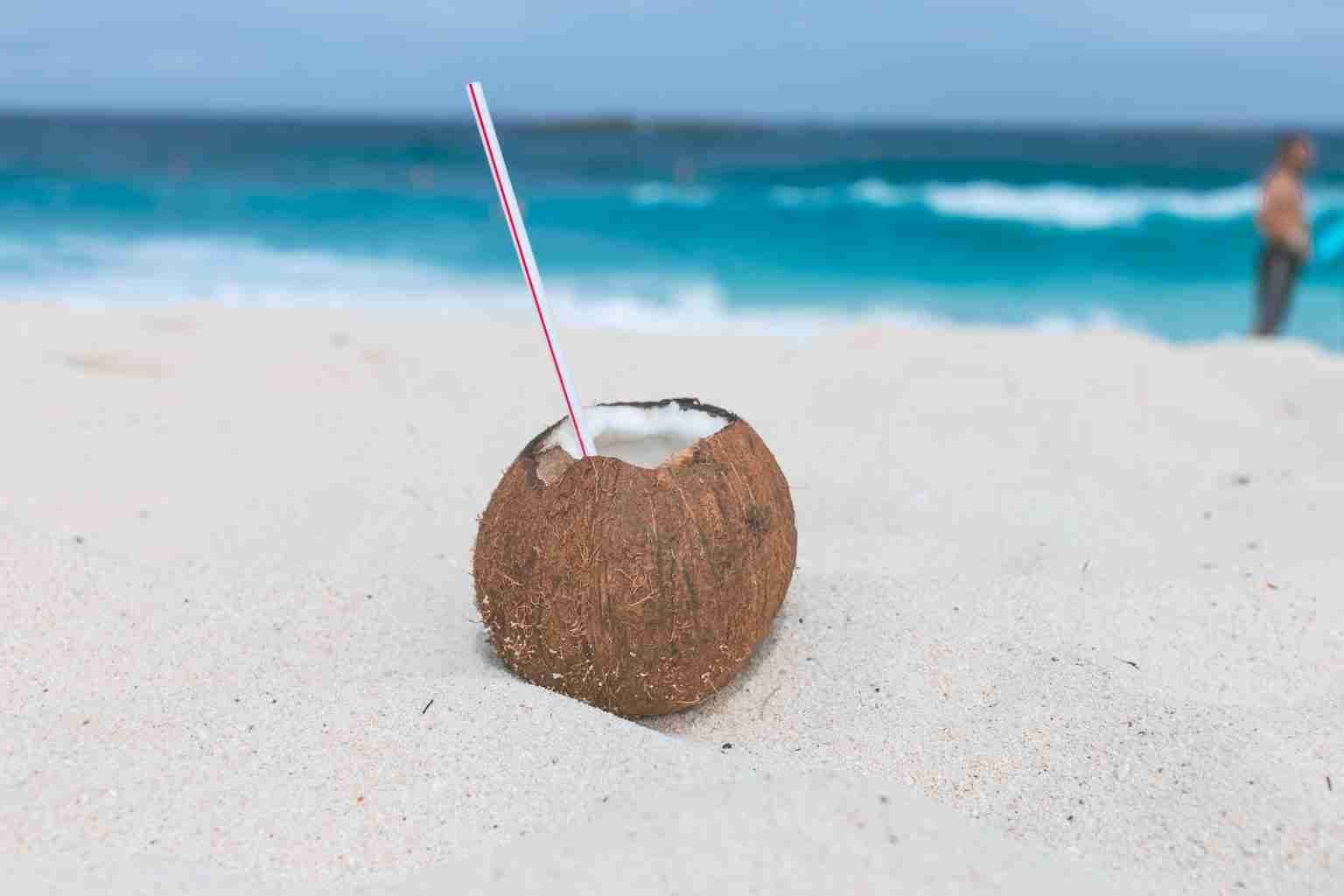 25 Fun Facts About Coconut You Didn't Know - Amazing Facts Home