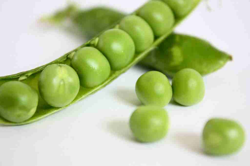 23 Fun Facts About Peas: Prepare to Be Amazed - Amazing Facts Home
