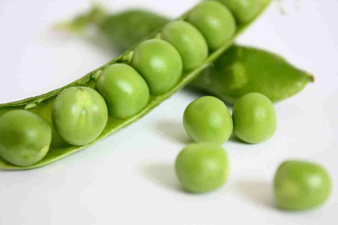 23 Fun Facts About Peas: Prepare to Be Amazed - Amazing Facts Home