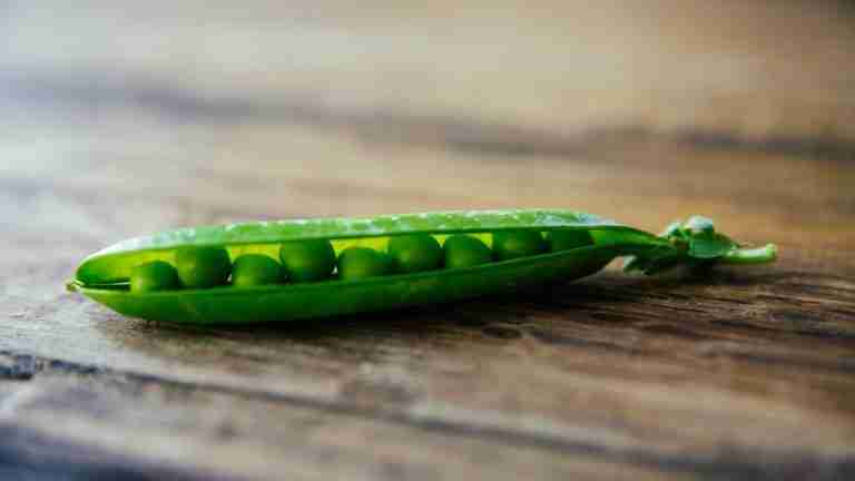 23 Fun Facts About Peas: Prepare to Be Amazed - Amazing Facts Home