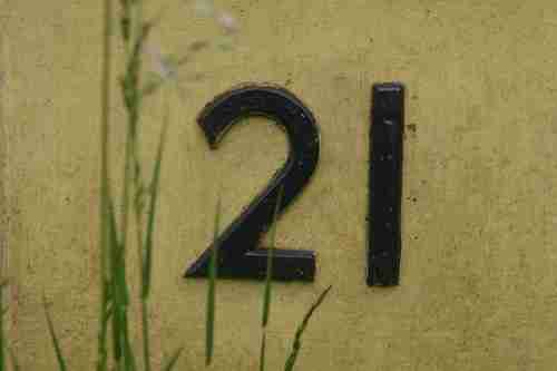 20 Fun Facts About Number 21: Unveiling Its Intriguing Charms - Amazing ...