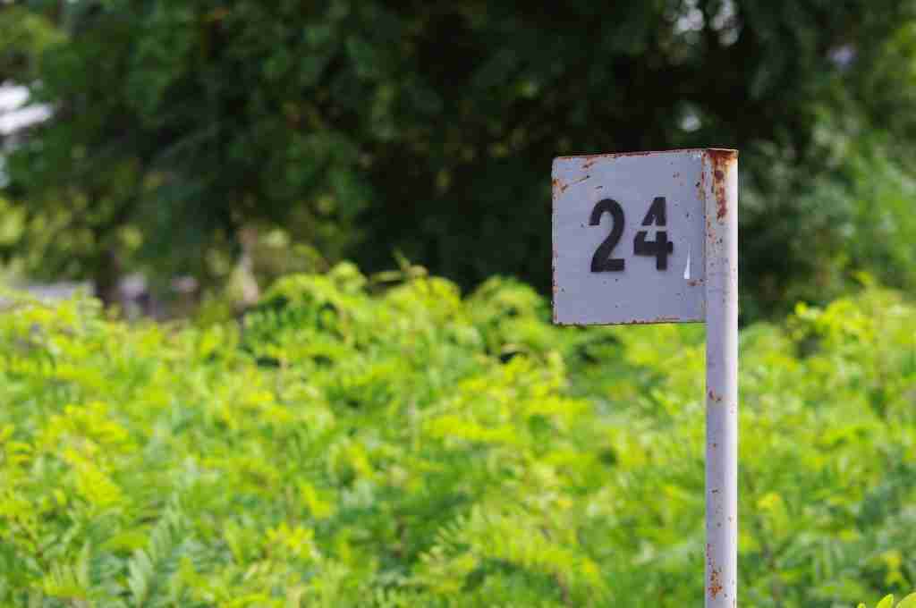 23 Fun Facts About Number 24: It’s Not Just a Simple Digit - Amazing ...