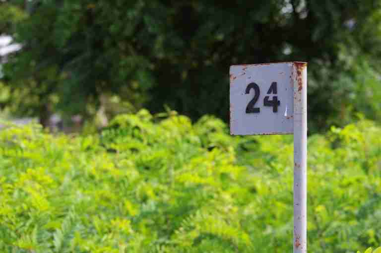 23 Fun Facts About Number 24: It’s Not Just a Simple Digit - Amazing ...