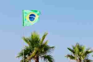 25 Fun Facts About Brazil: Surprises You Never Expected - Amazing Facts ...