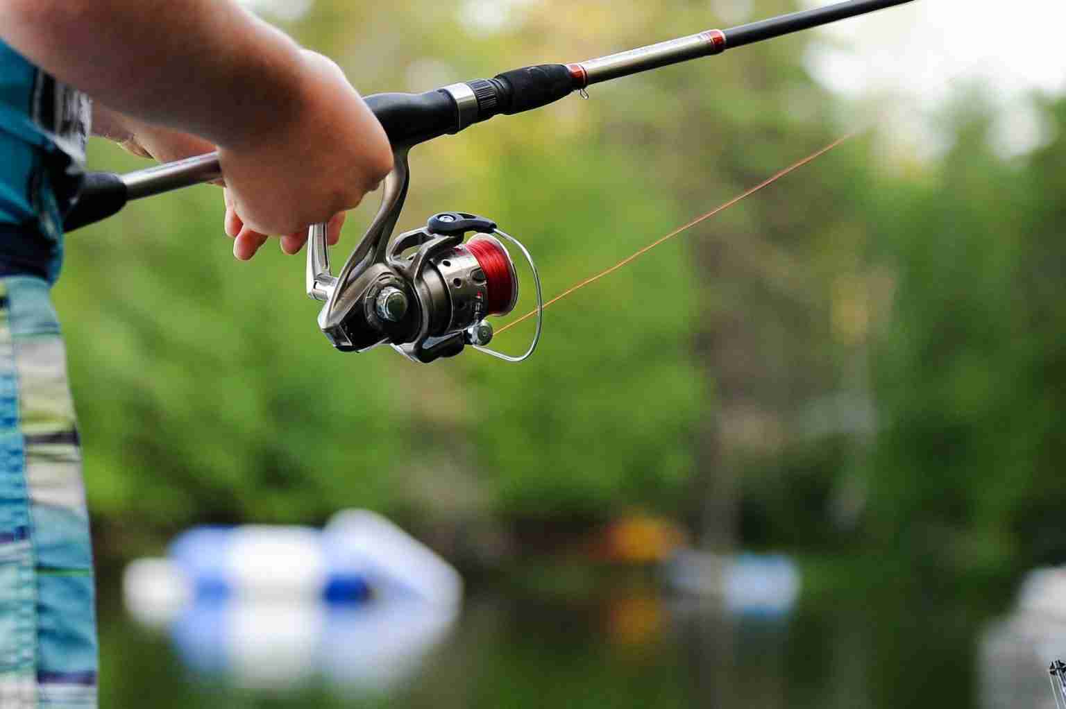 23 Fun Facts About Fishing: The $1 Million Lure Revealed - Amazing ...