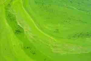 20 Fun Facts About Colors | The World in Colors - Amazing Facts Home