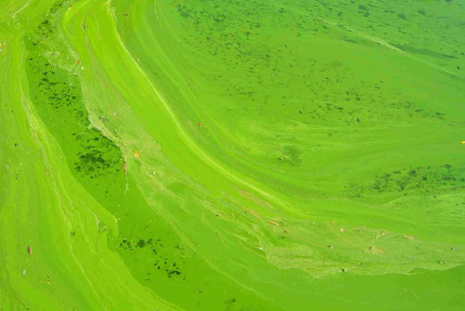 20 Fun Facts About Colors | The World in Colors - Amazing Facts Home