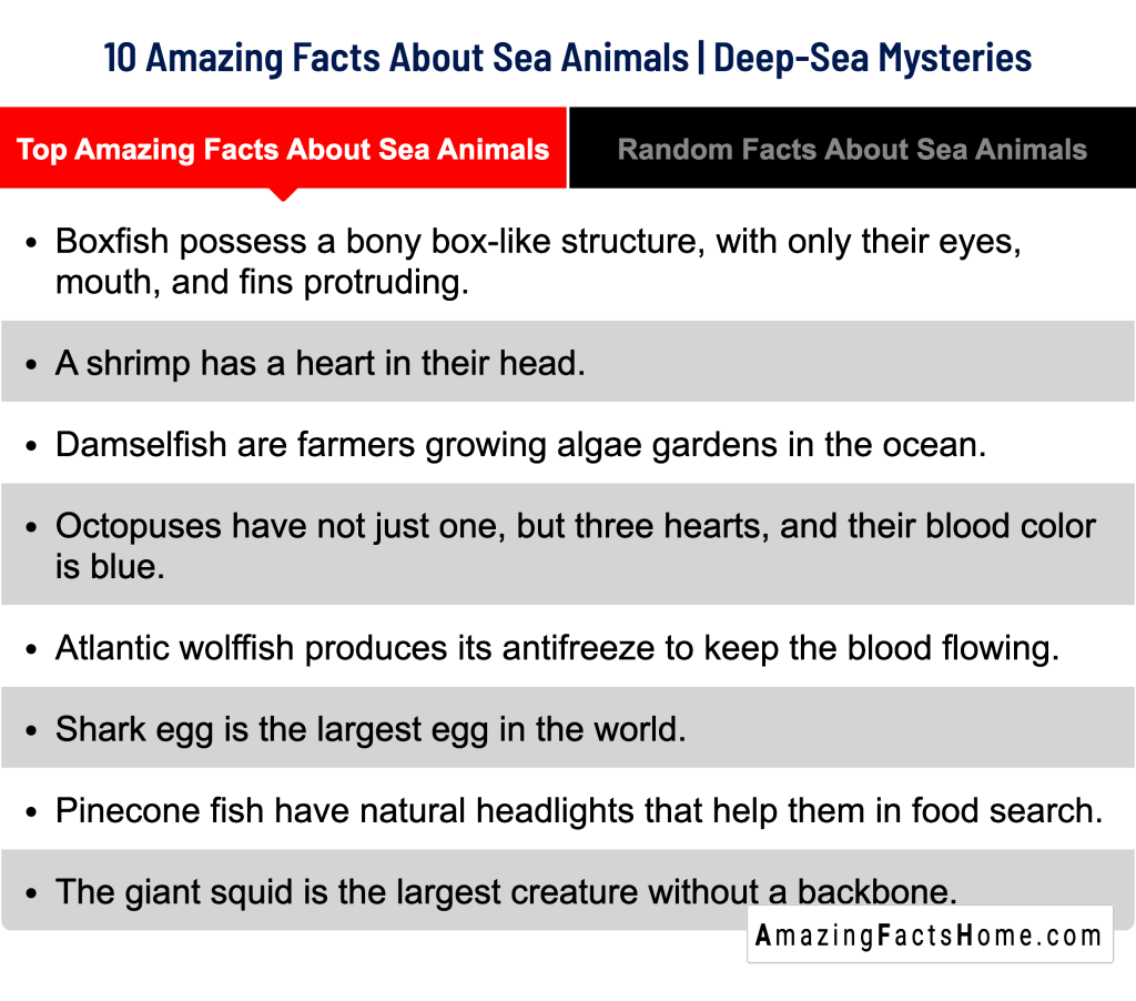 Top Amazing Facts About Sea Animals top-amazing-facts-about-sea-animals