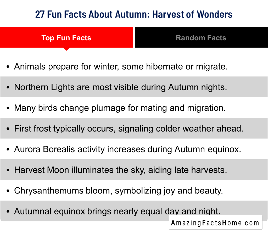 Top Fun Facts About Autumn