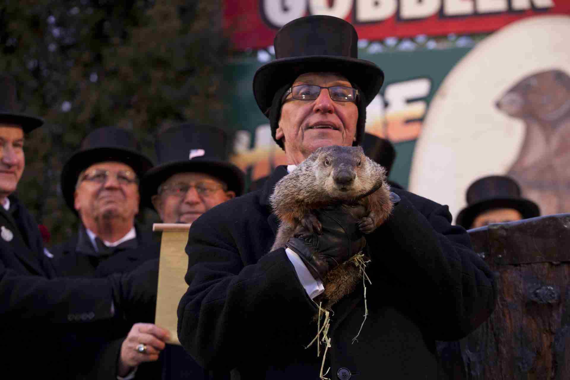 22 Fun Facts About Groundhog Day | Forecast Fables - Amazing Facts Home