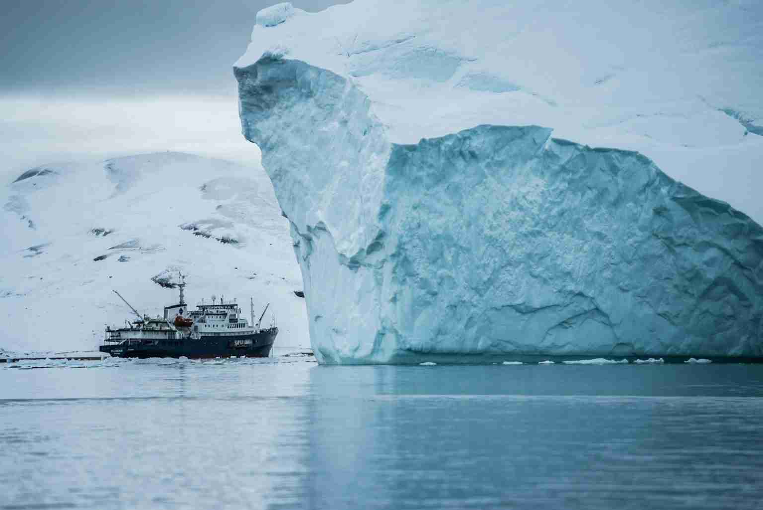 24 Fun Facts About the Arctic | Beyond Ice and Snow - Amazing Facts Home