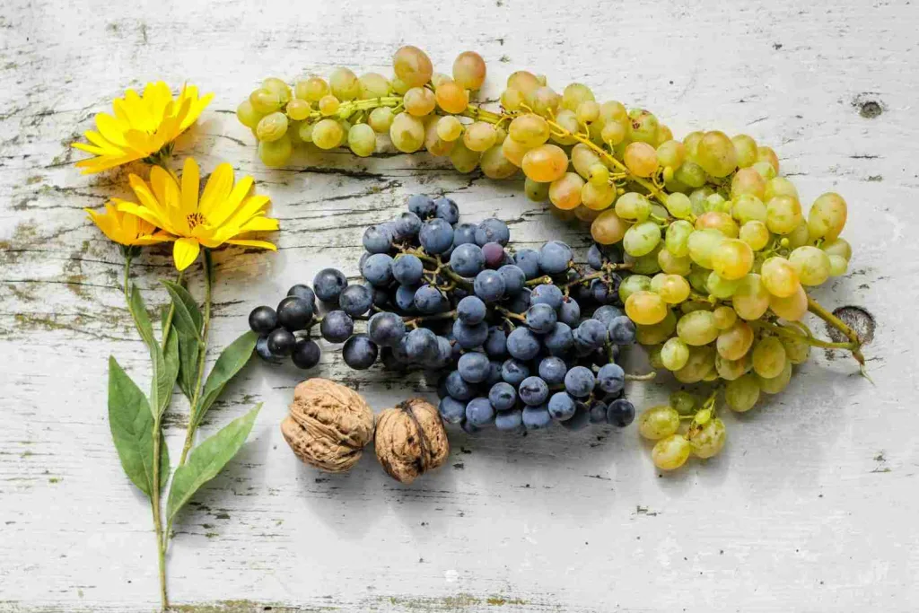 25 Fun Facts About Grapes | It's Not What You Think - Amazing Facts Home