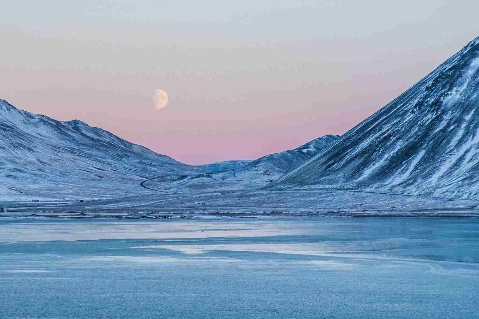 24 Fun Facts About the Arctic | Beyond Ice and Snow - Amazing Facts Home