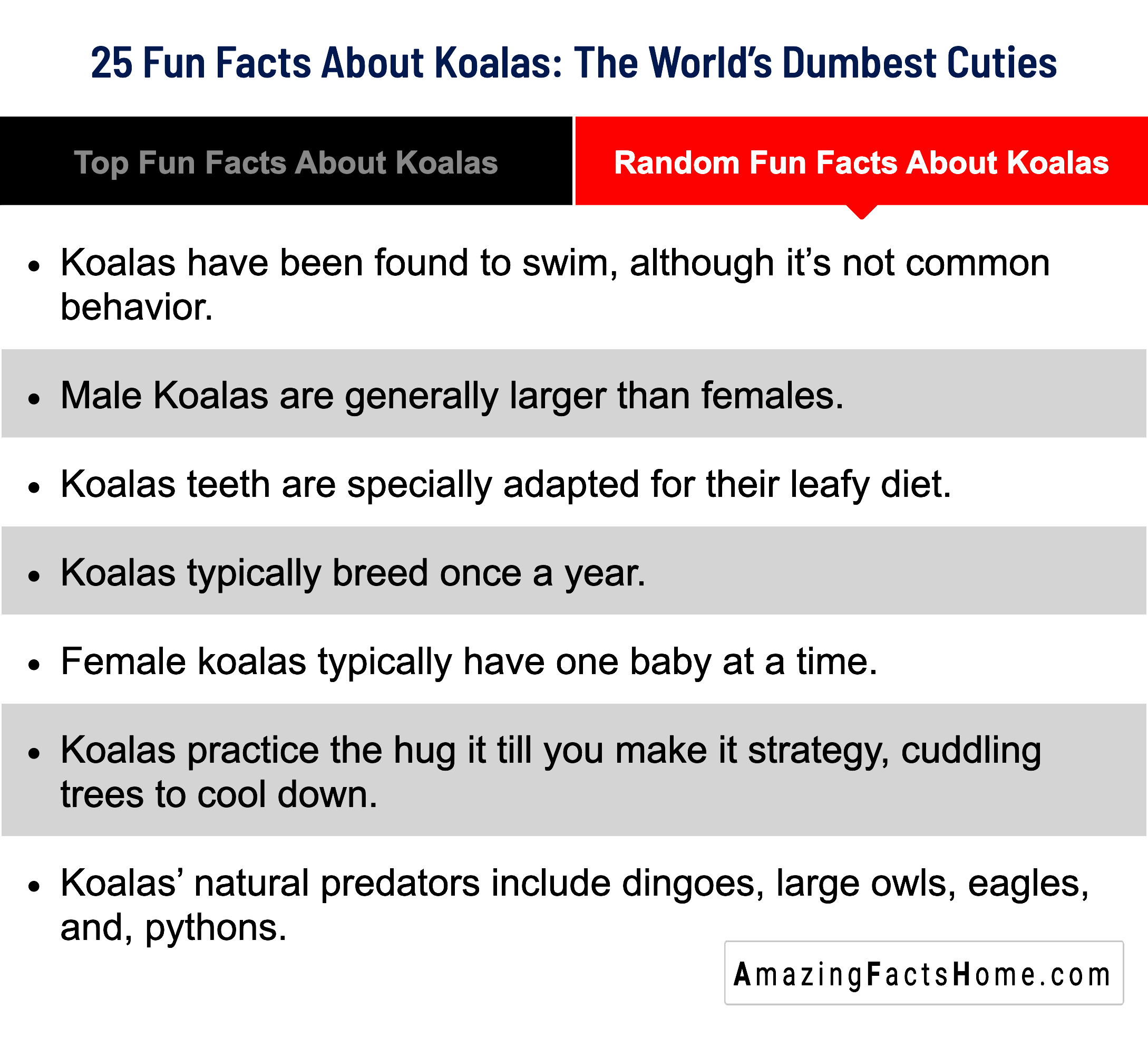 Random Fun Facts About Koalas